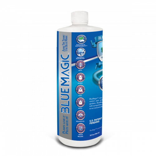 Blue Magic | American Wholesale Hemp