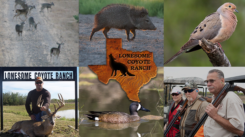 Lonesome Coyote Ranch