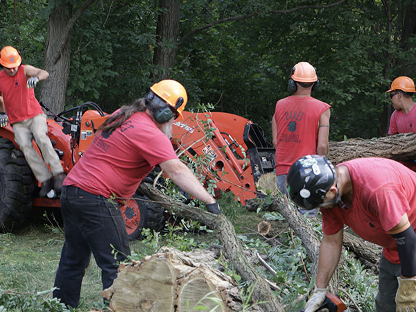 Expert Tree Service Rochester NY Gallery | Oakes Tree Service