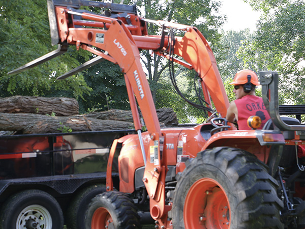 Expert Tree Service Rochester NY Gallery | Oakes Tree Service