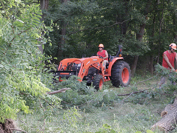 Expert Tree Service Rochester NY Gallery | Oakes Tree Service