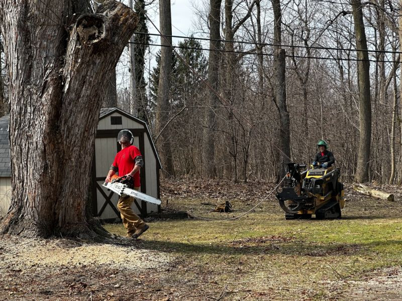 Expert Tree Service Rochester NY Gallery | Oakes Tree Service