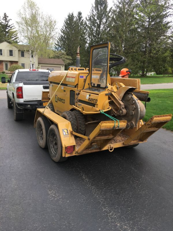 Expert Tree Service Rochester NY Gallery | Oakes Tree Service