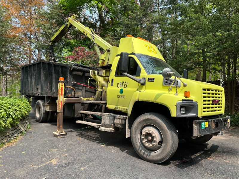 Expert Tree Service Rochester NY Gallery | Oakes Tree Service