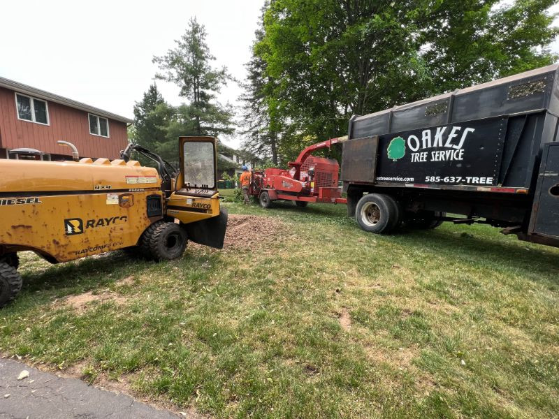 Expert Tree Service Rochester NY Gallery | Oakes Tree Service