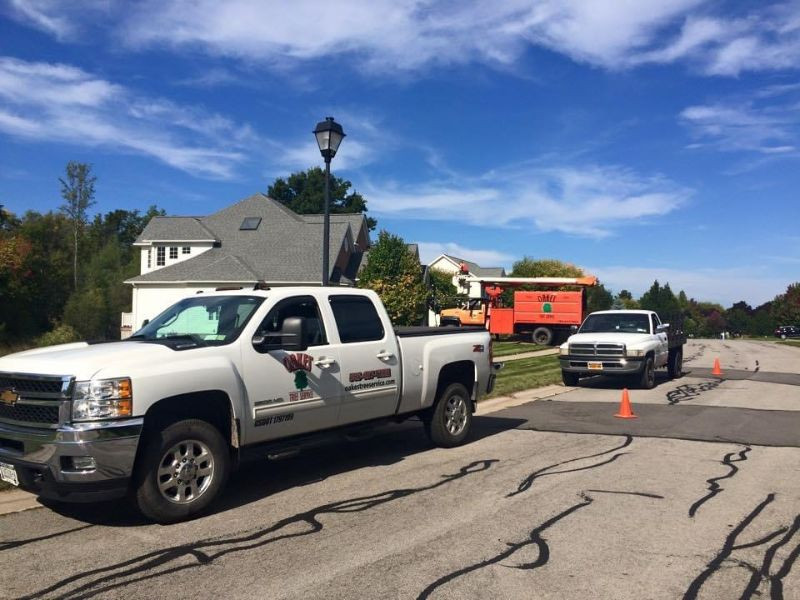 Expert Tree Service Rochester NY Gallery | Oakes Tree Service