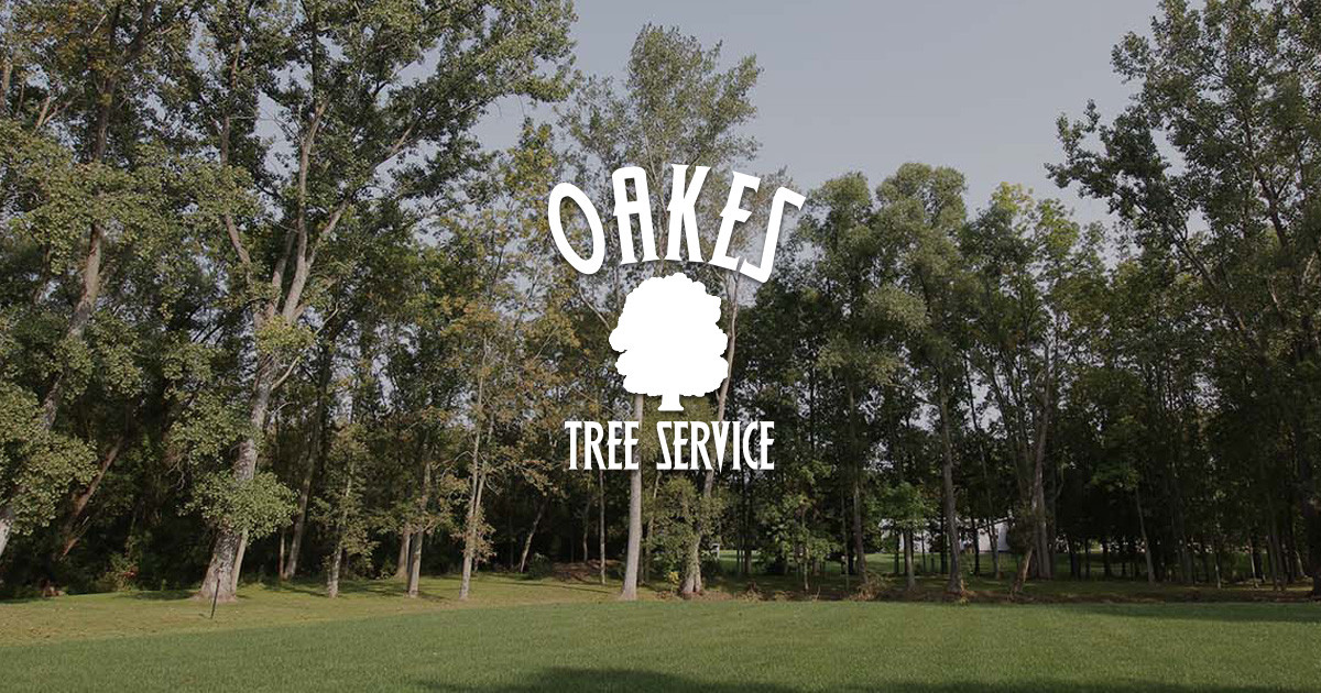 Oakes Tree Service | Tree Removal Services Rochester NY