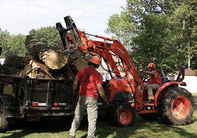 Tree Services Rochester NY | Oakes Tree Service