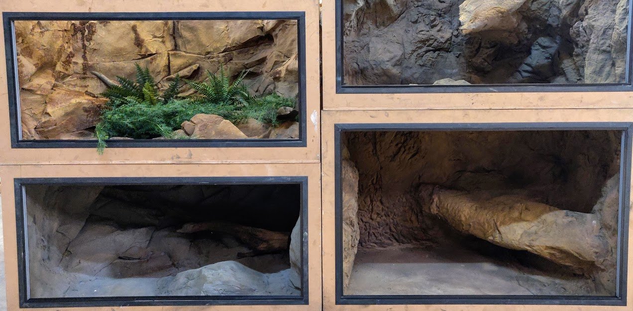 Zoo Animals | Universal Rocks