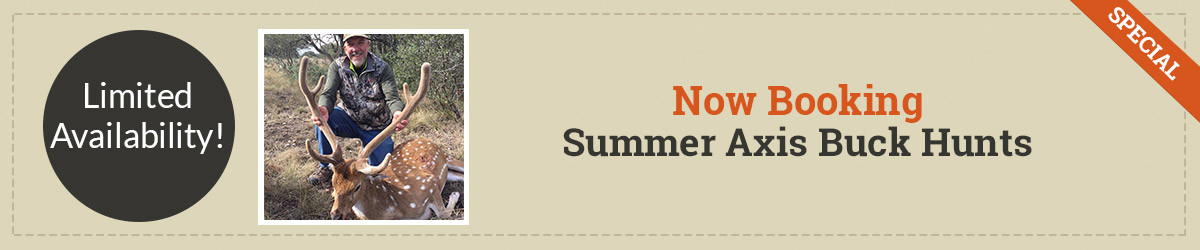 Hunting Package Specials | 4 Amigos Ranch | South Texas