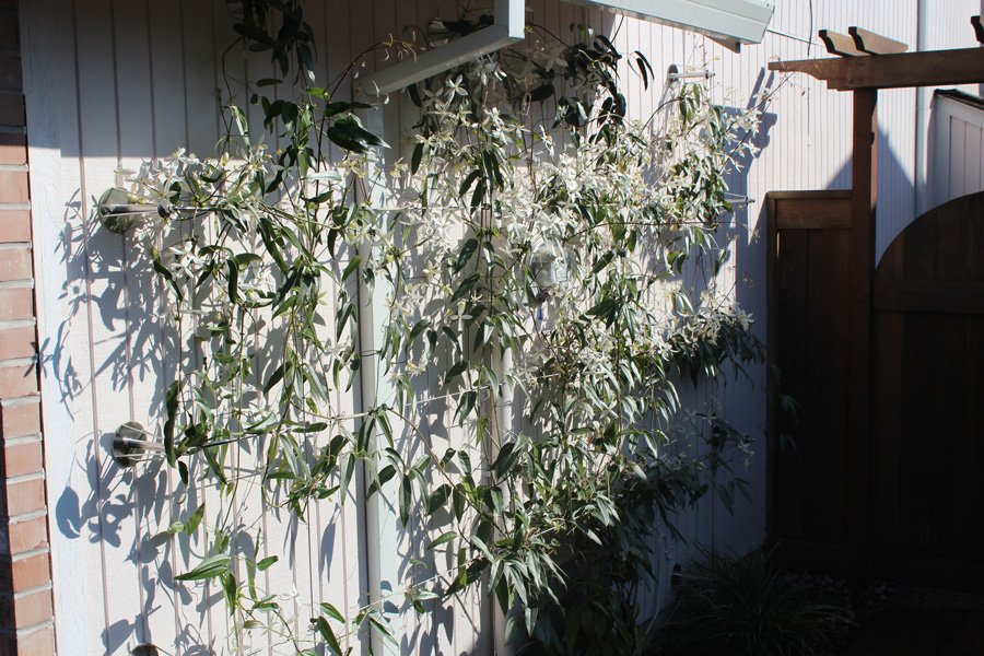 Trellis Systems | Cable Railing Technology | Stainless Cable Solutions