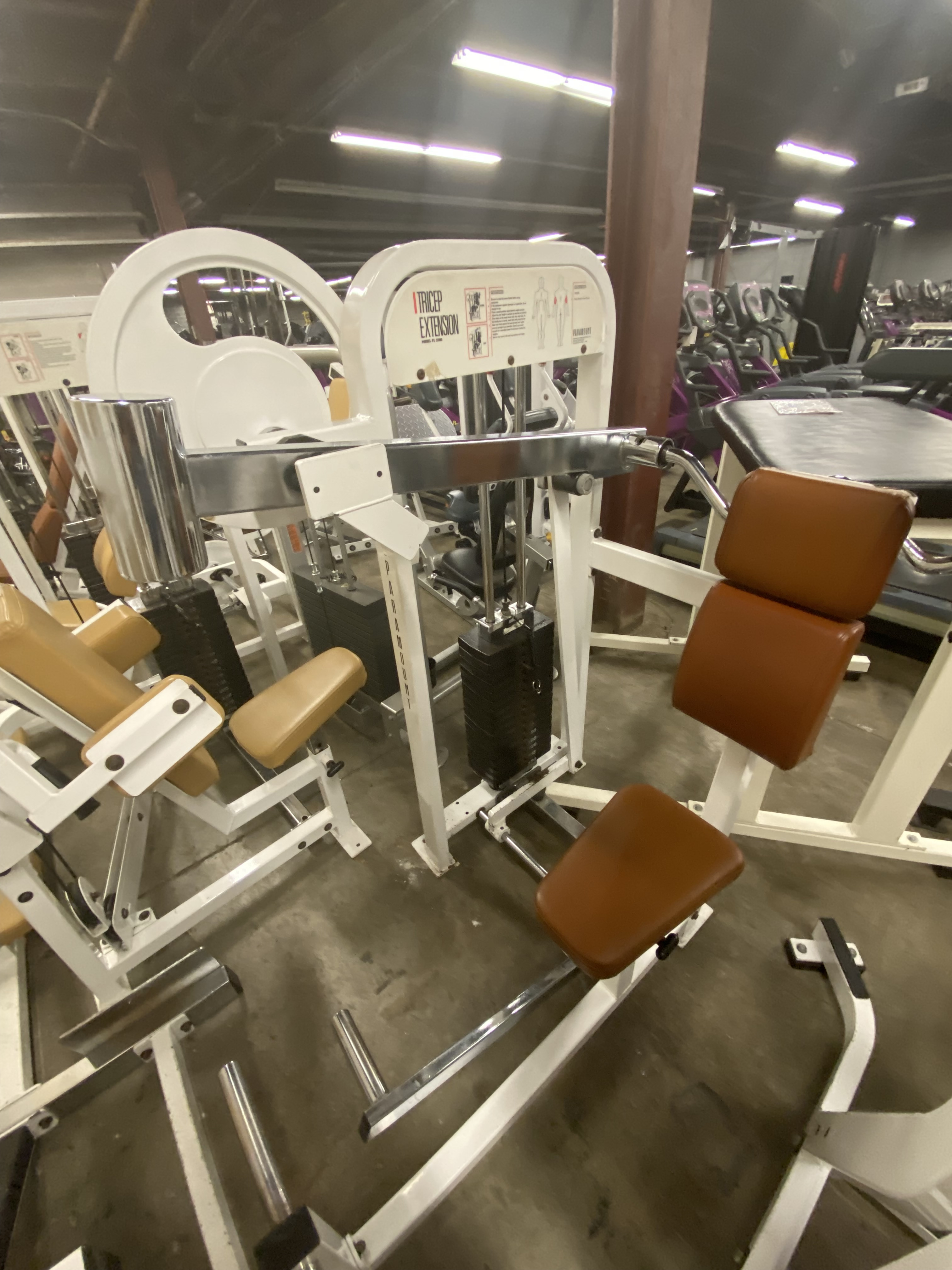 Overhead Triceps Extension Machine Paramount