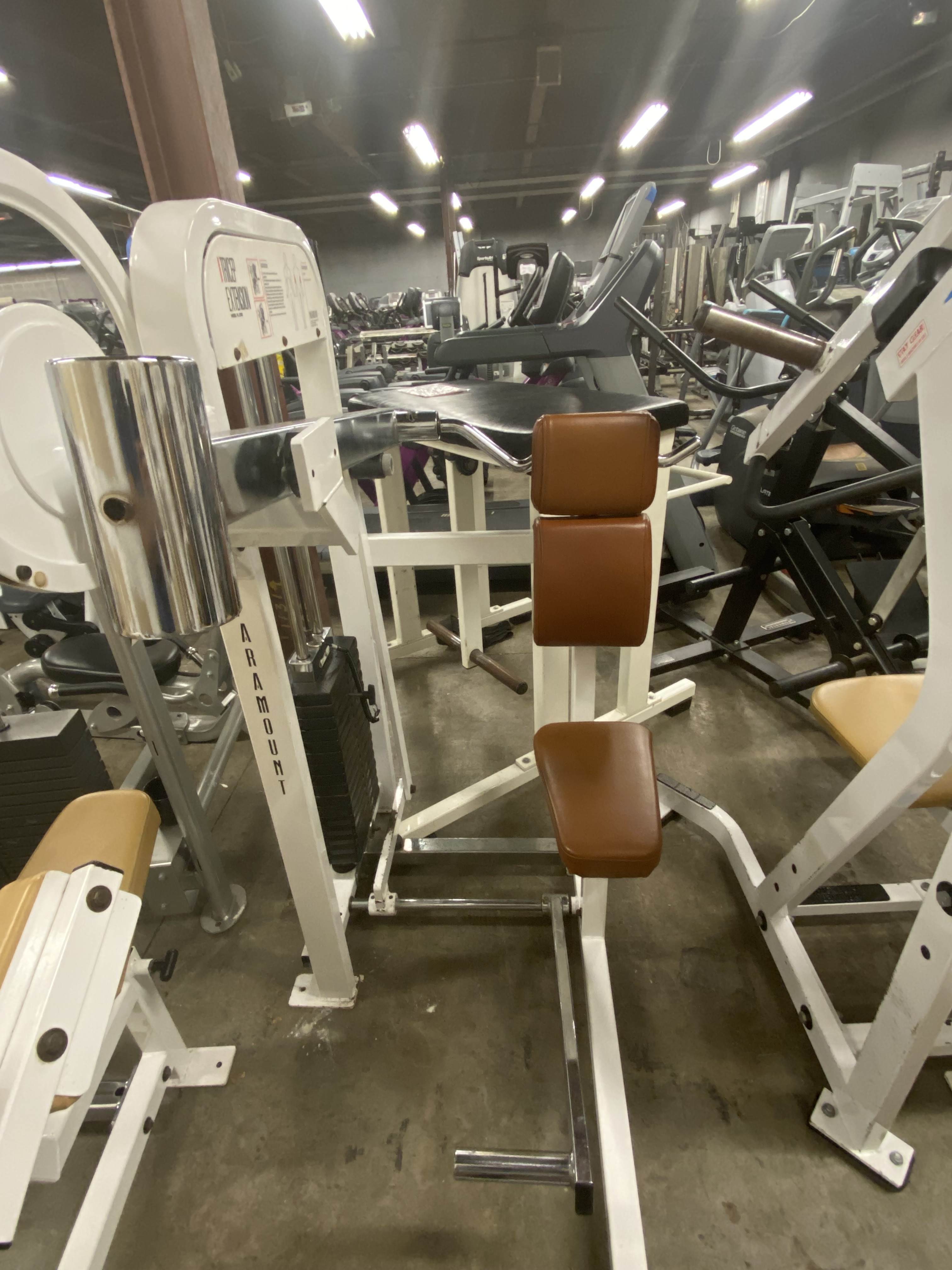 Overhead Triceps Extension Machine Paramount