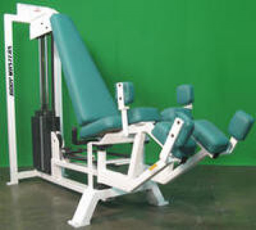 Body Masters | Rebirth Fitness