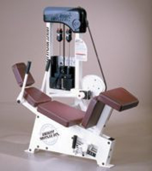 Body Masters | Rebirth Fitness