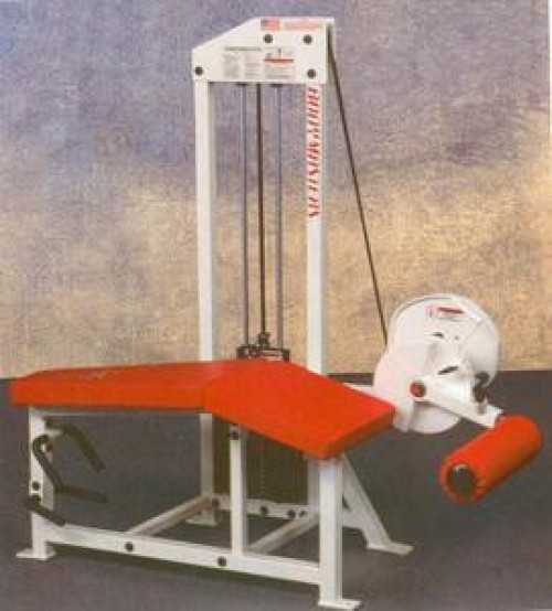 Body Masters | Rebirth Fitness