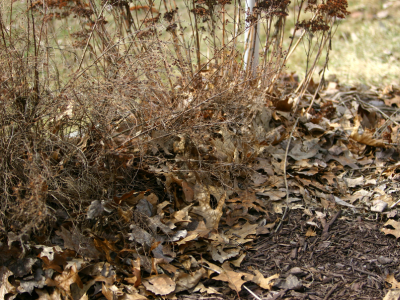 Landscape Spring Clean Up Victor NY | Ted Collins Tree & Landscape